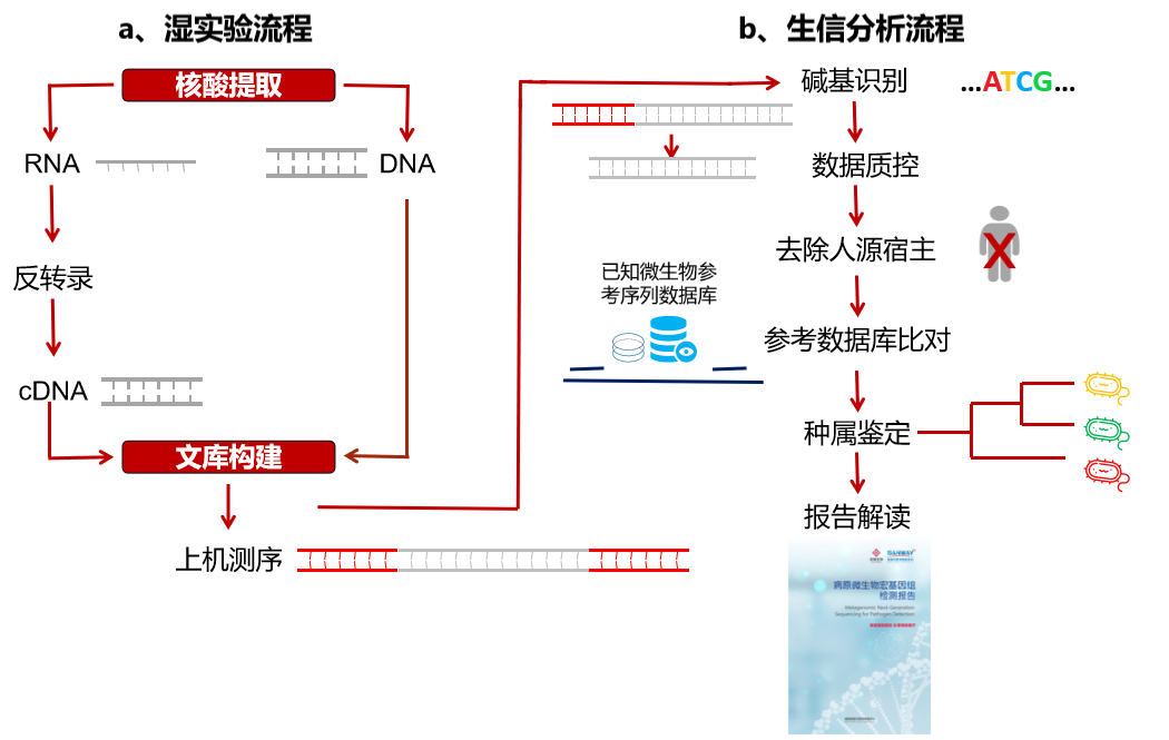 国内首款实现双芯片滚动上机的测序仪，玩转mNGS！-上海国际检验医学及体外诊断试剂展览会